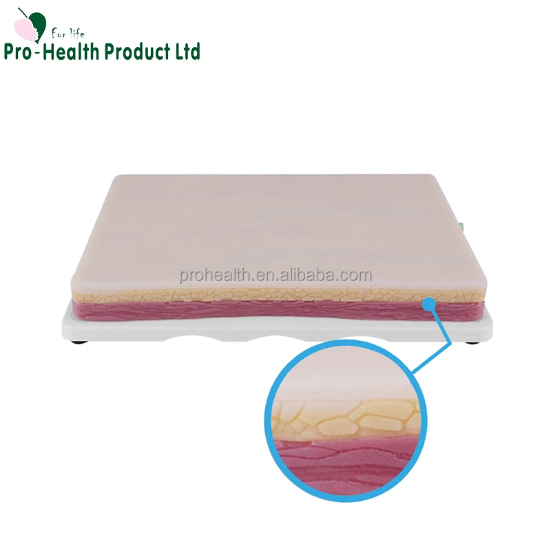 3 Skin Layer Iv Injection Phlebotomy Venipuncture Practice Pad Model ...