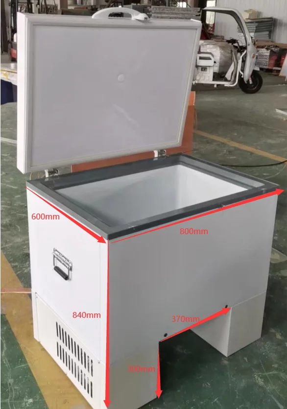 Mini 128l Popsicle Refrigerator Box Refrigerator Motorcycle Box - Buy ...