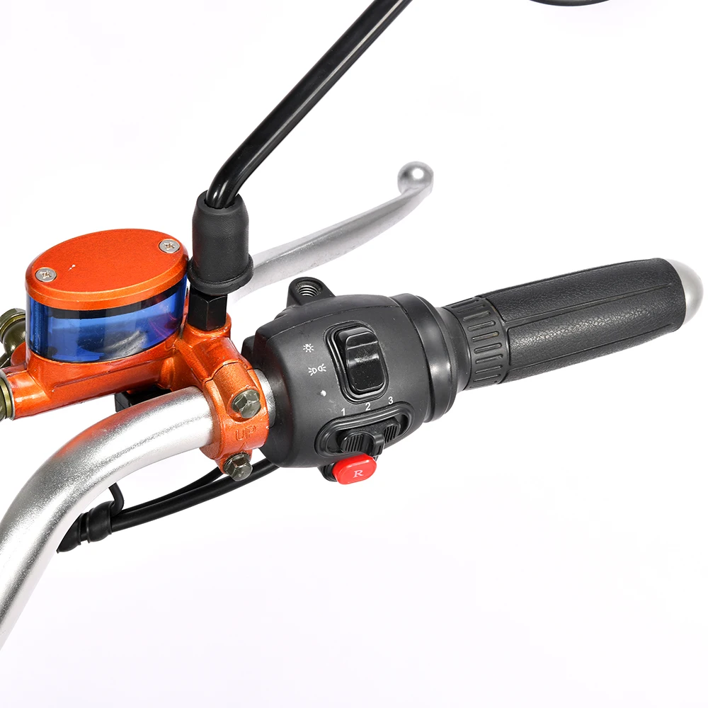 4000W Single Motor & Controller Citycoco Aluminium Electric Tricycle 3 ...