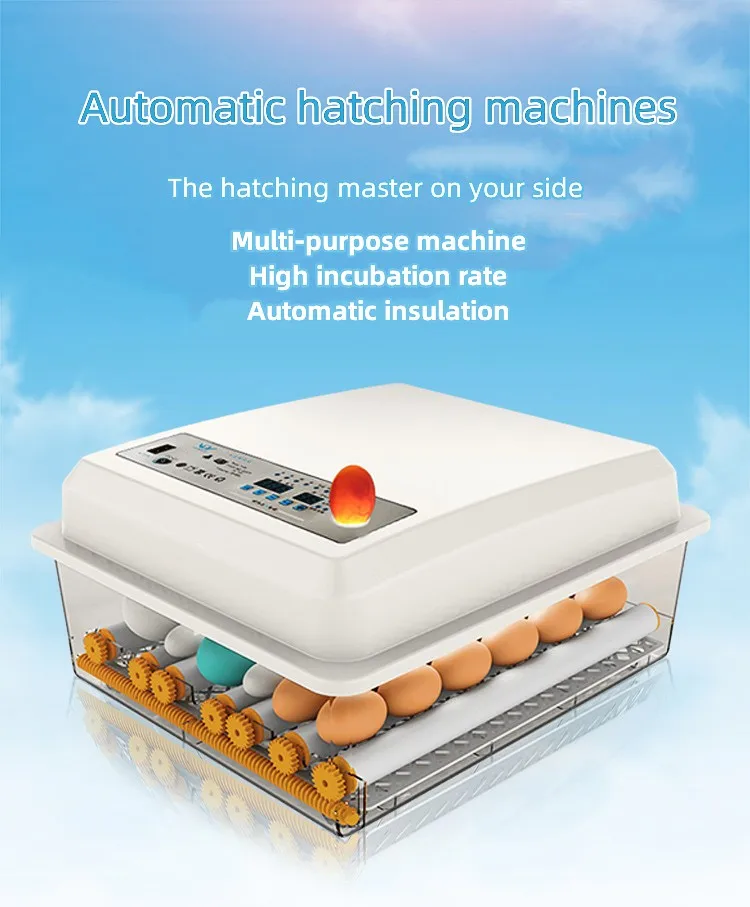 Petit Domestique Egg Incubators Plastic Egg Incubators Incubator Egg ...