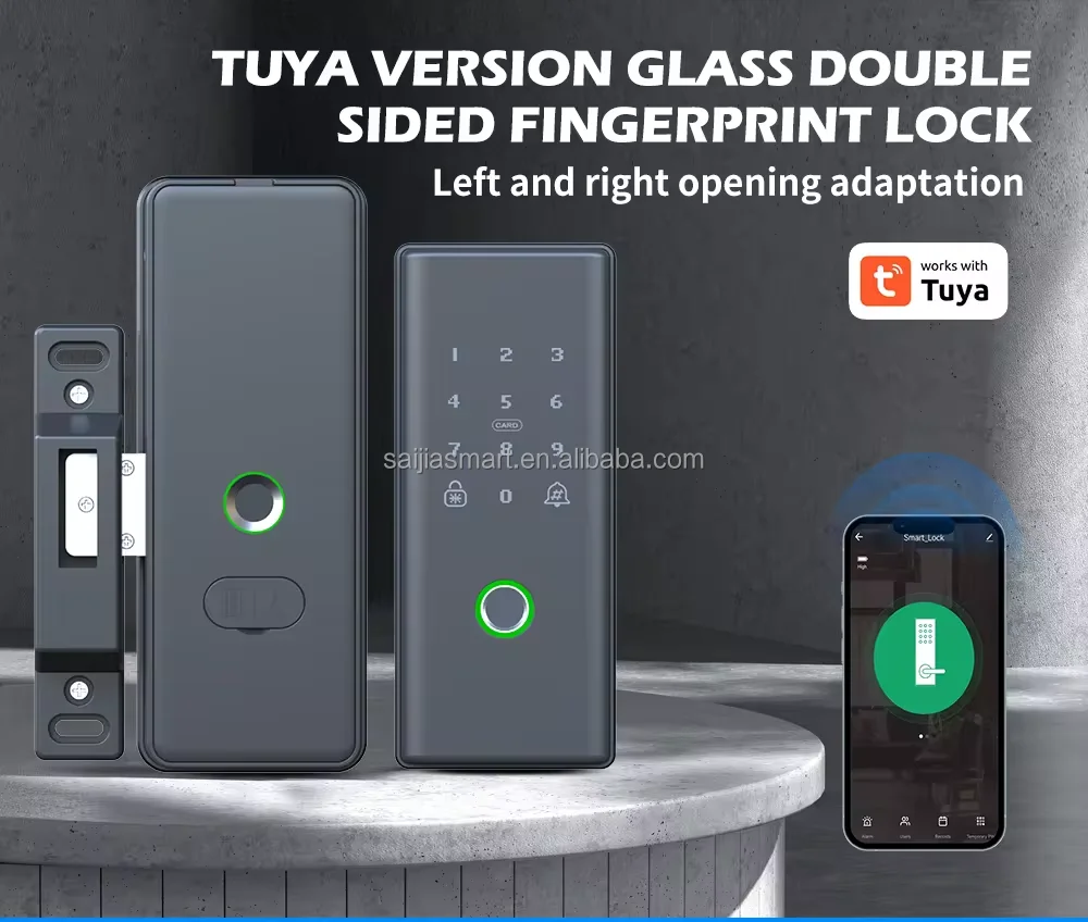 Tuya Iron Gate Remote Smart Lock - Secure & Convenient
