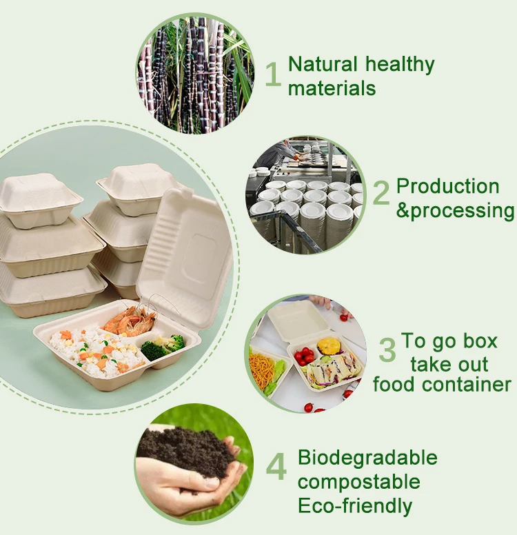 Vvg Sugarcane Food Container 4 Compartment Eco-friendly One Time ...