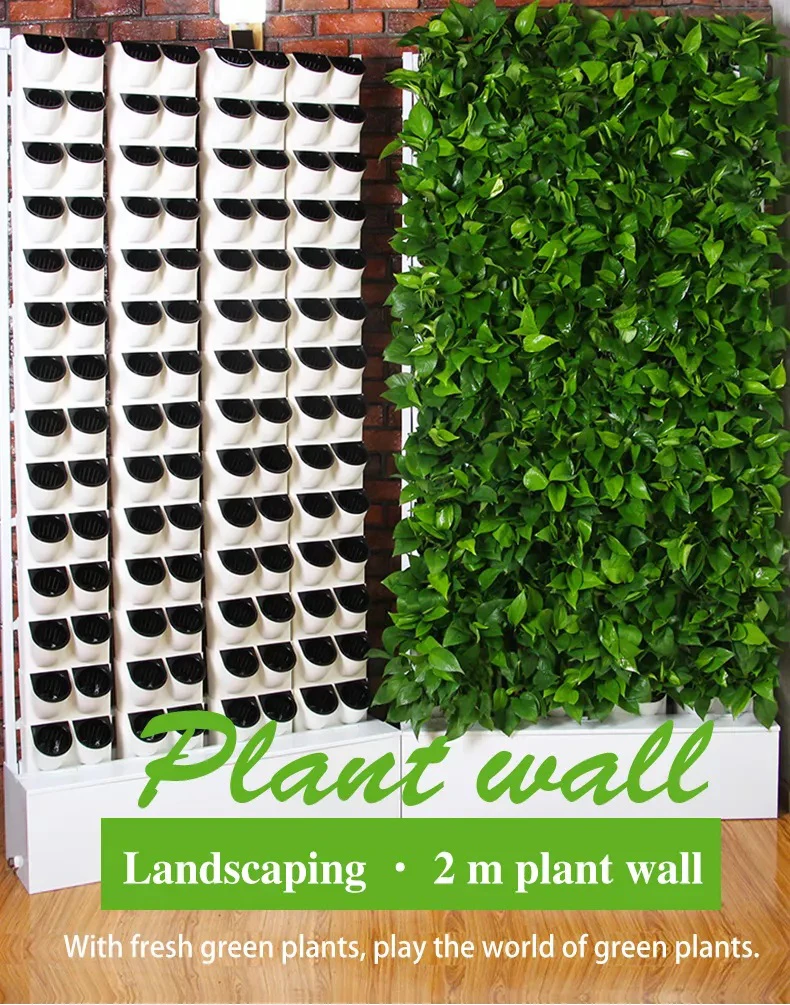 Hydroponic Growing System - 2 Square Meter Indoor Plant Wall for Home ...