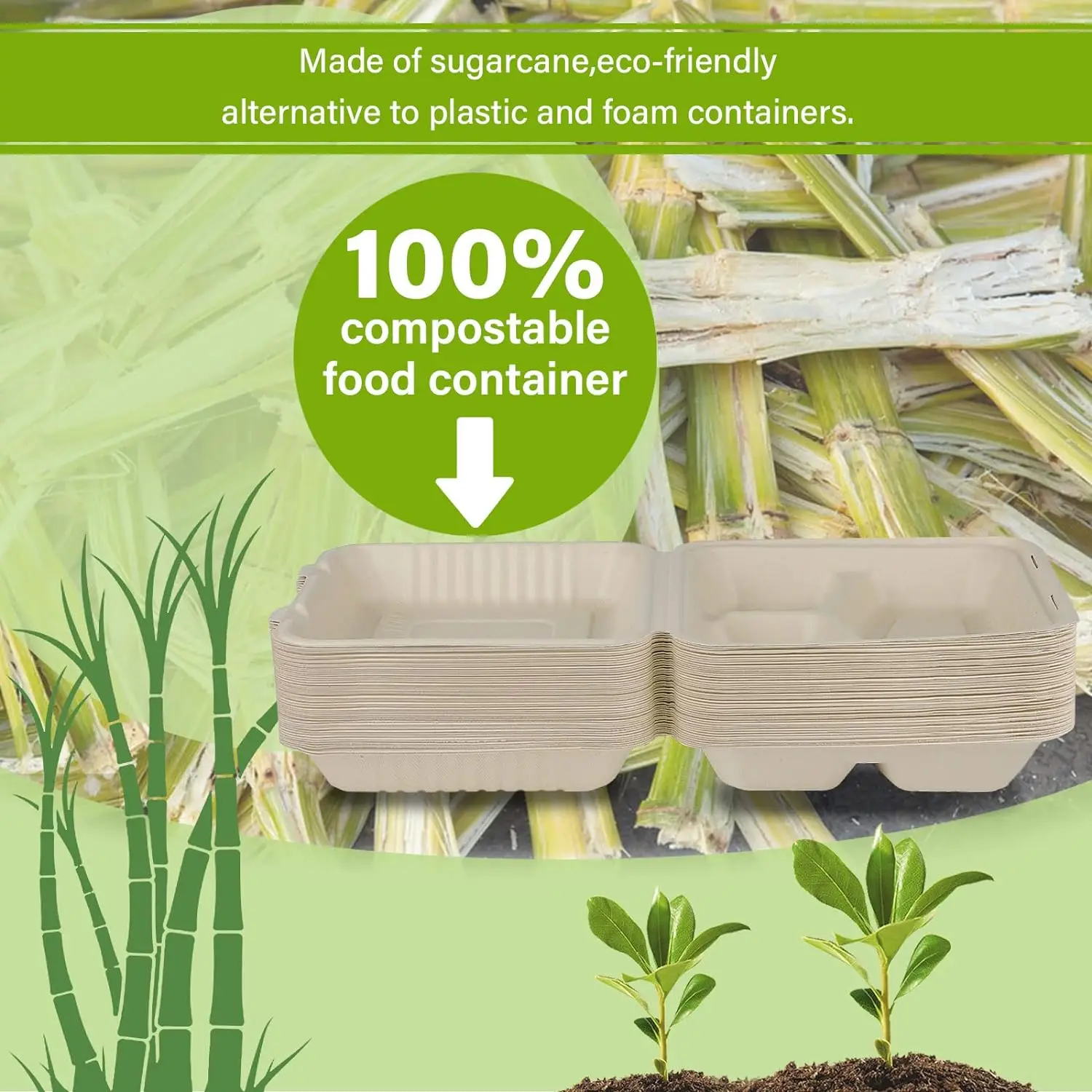 Eco-friendly Biodegradable Sugarcane Food Container Disposable 8 X 8 ...