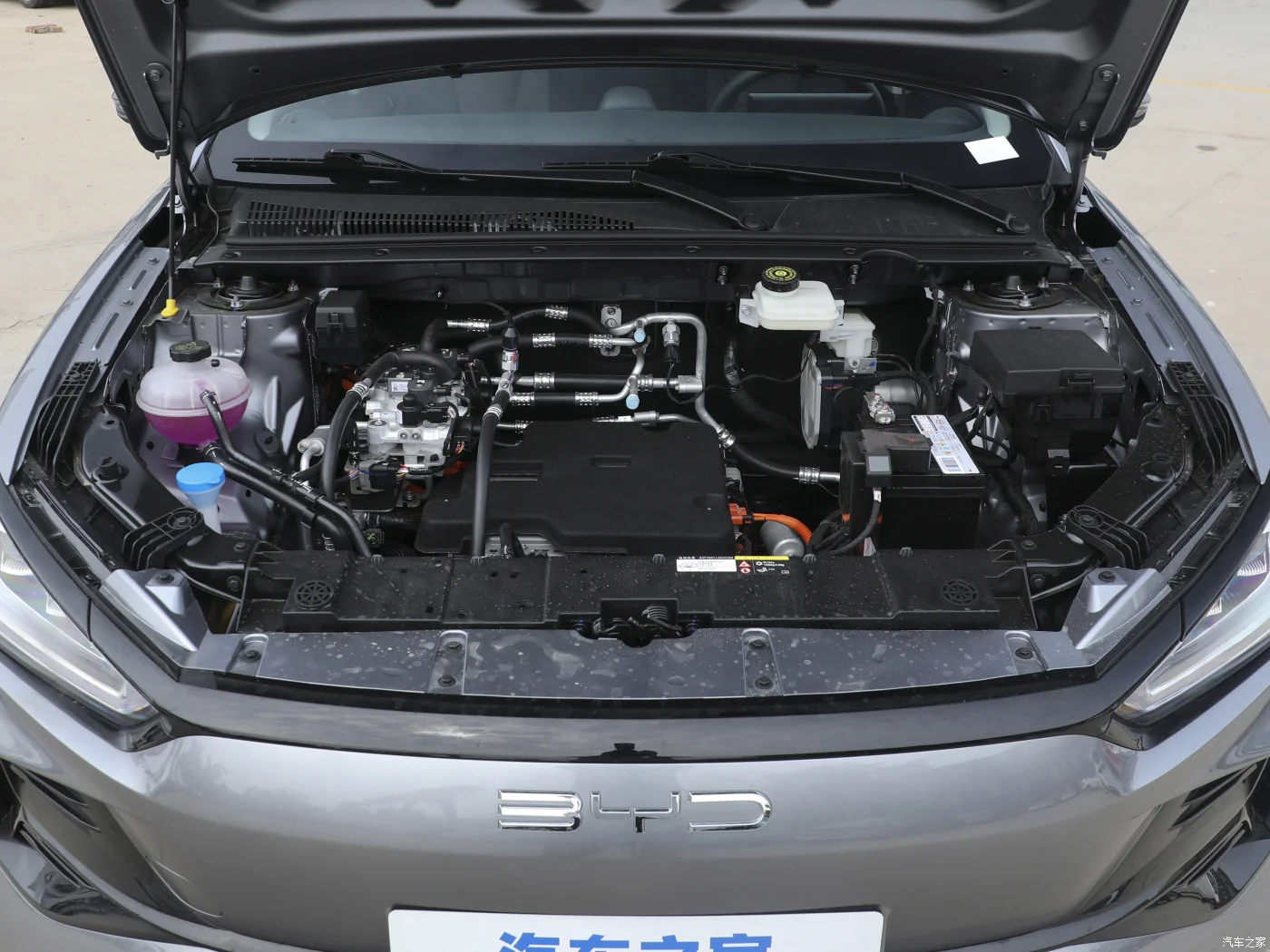 New Affordable Byd Electric Car 2024 Luxury Version New Energy Vehicles ...