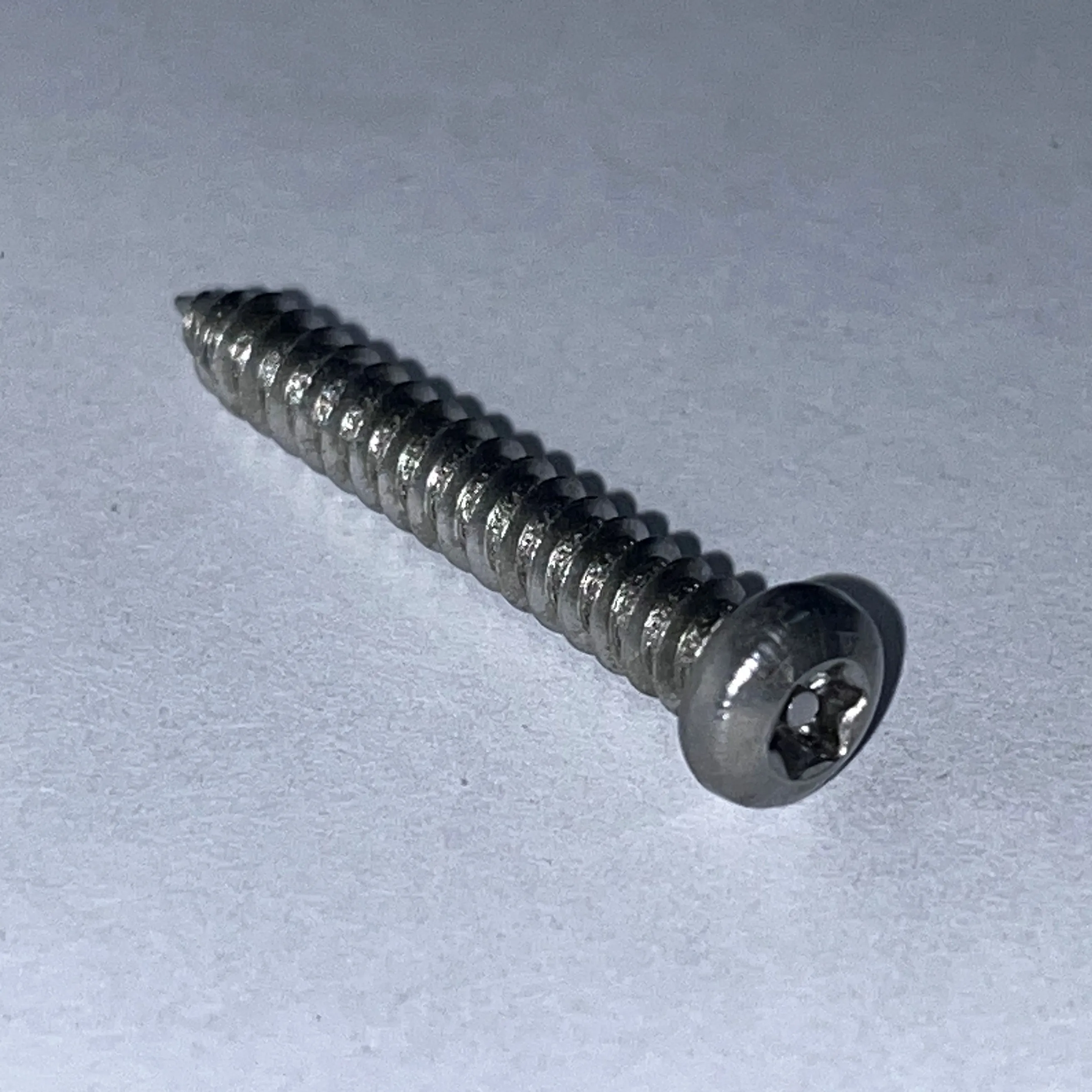 Din Standard Steel and Stainless Steel Self-Tapping Screws Torx Pan ...