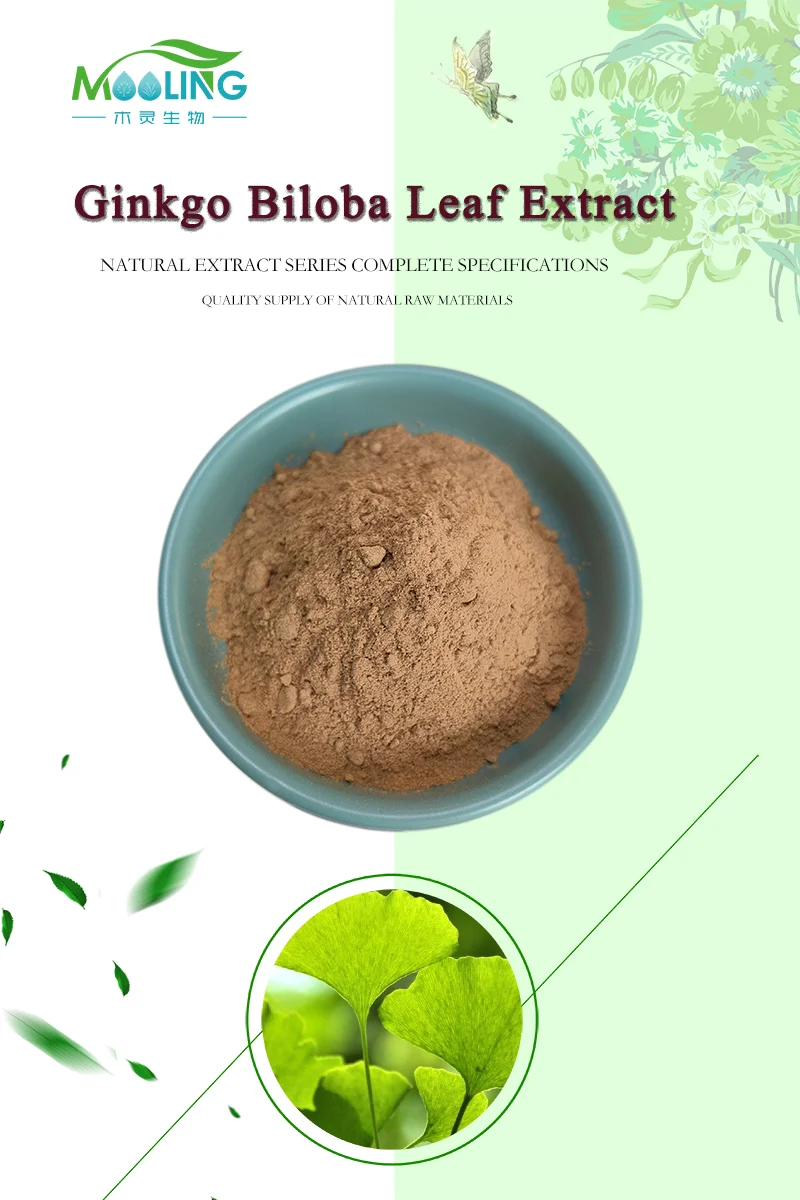 Low Price Ginkgo Biloba Leaf Extract Powder Cas 90045-36-6 - Buy ...
