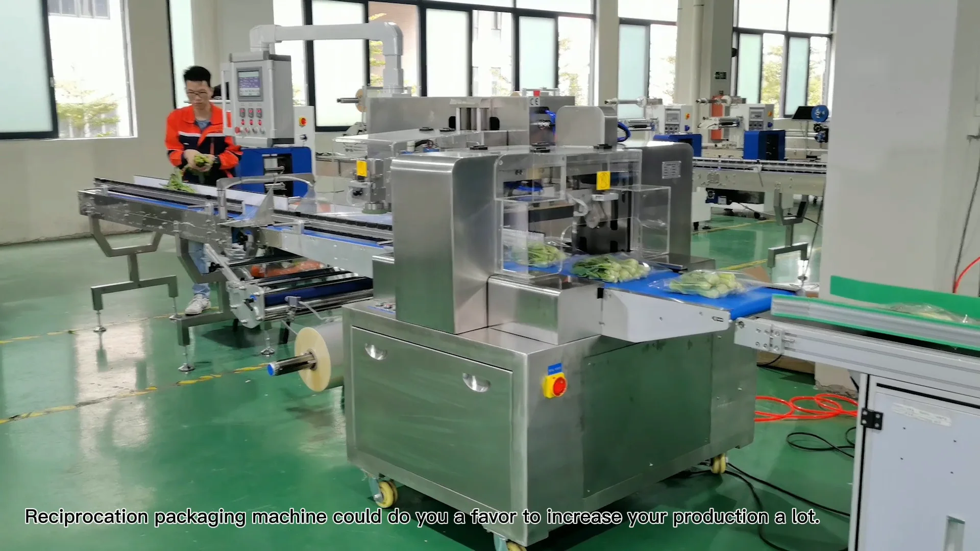 Fresh Vegetables Potato Lettuce Spinach Pickles Herbs Frozen Vegetable ...