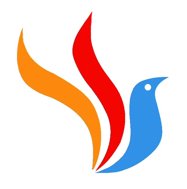 Company Overview - 3S Import&Export Shijiazhuang Co., Ltd.