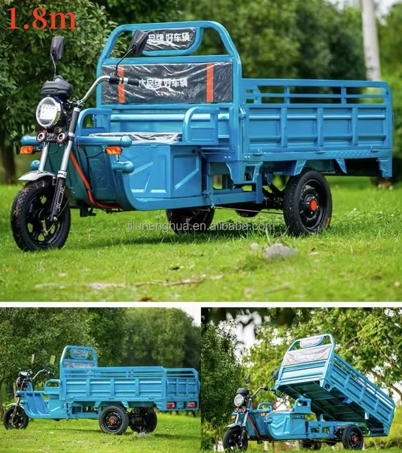 Electric Tricycles 3 Wheel Electric Cargo Bike 1000w 1200w E Trike Tricycles Usa Eu Market - Buy ...