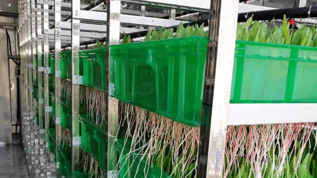 Vertical Farming Forage Grass Growing System Container Fodder Farm ...