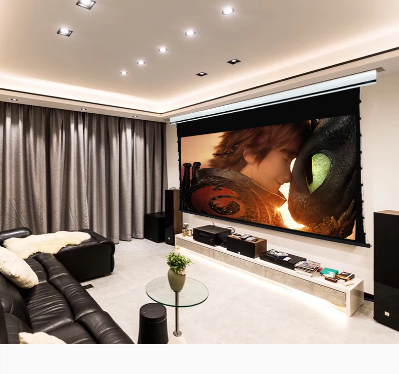 TELON SCREEN - 120 Inch Motorized Projector Screen for Home Theater