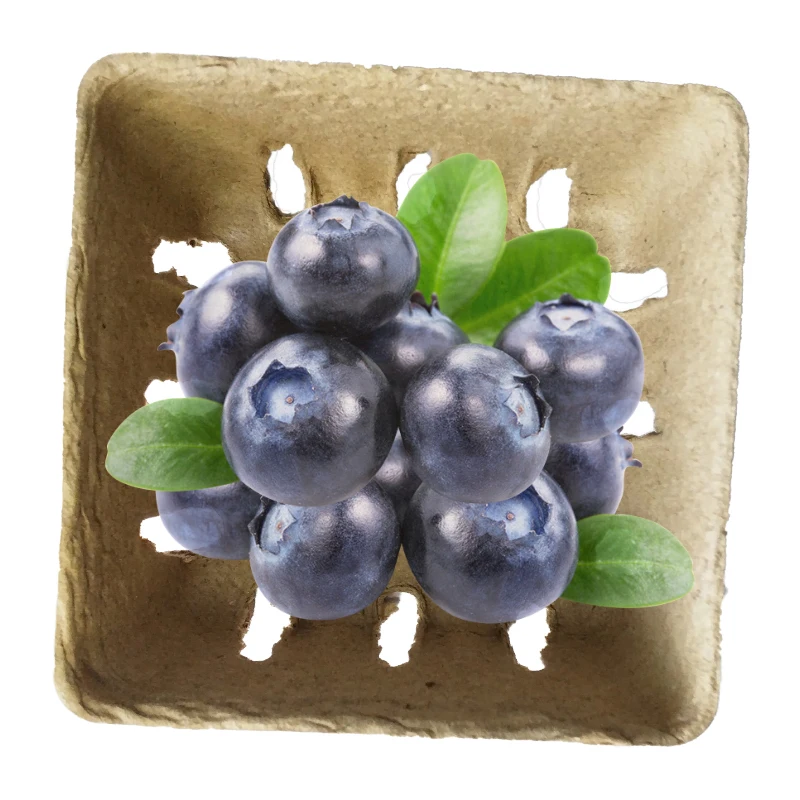 Biodegradable Packaging Blueberry Berry Box Fruit Strawberry Cherry ...