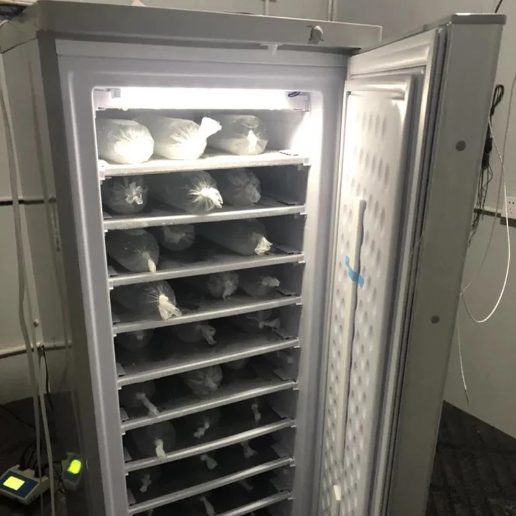 198L DC 24v Commercial Ice Block Bag Maker - Solar Panel Gel Battery ...