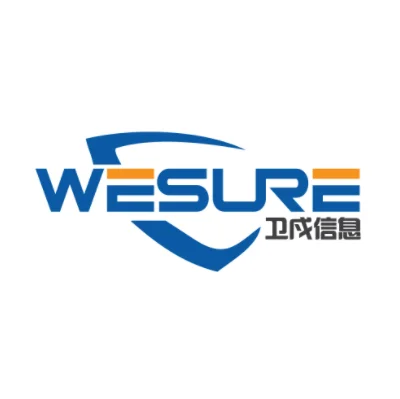 Company Overview - Shanghai Wesure Information Technology Co., Ltd.