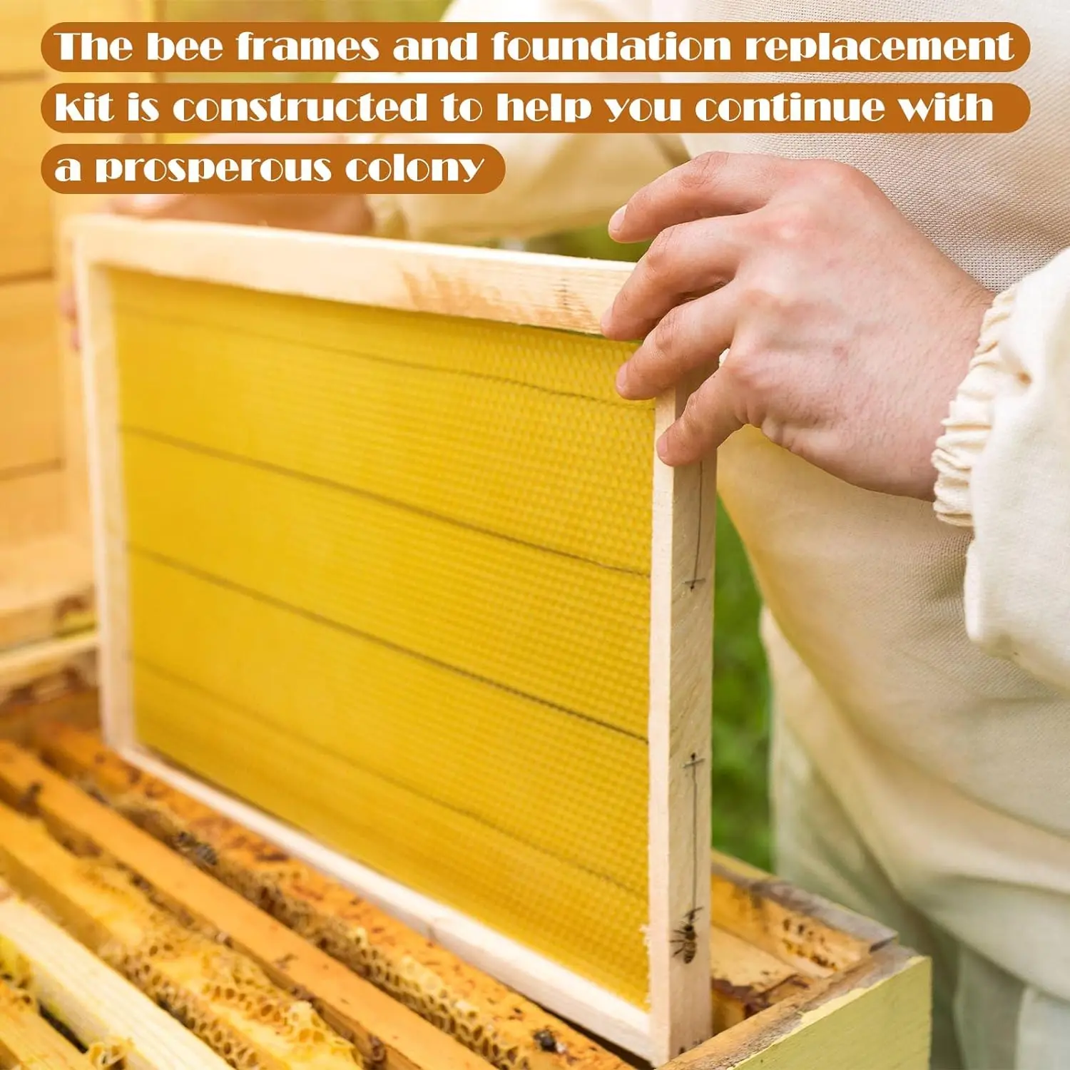 Beekeeping Equipment Assembled Wooden Bee Hive Frames With Wired Wax ...