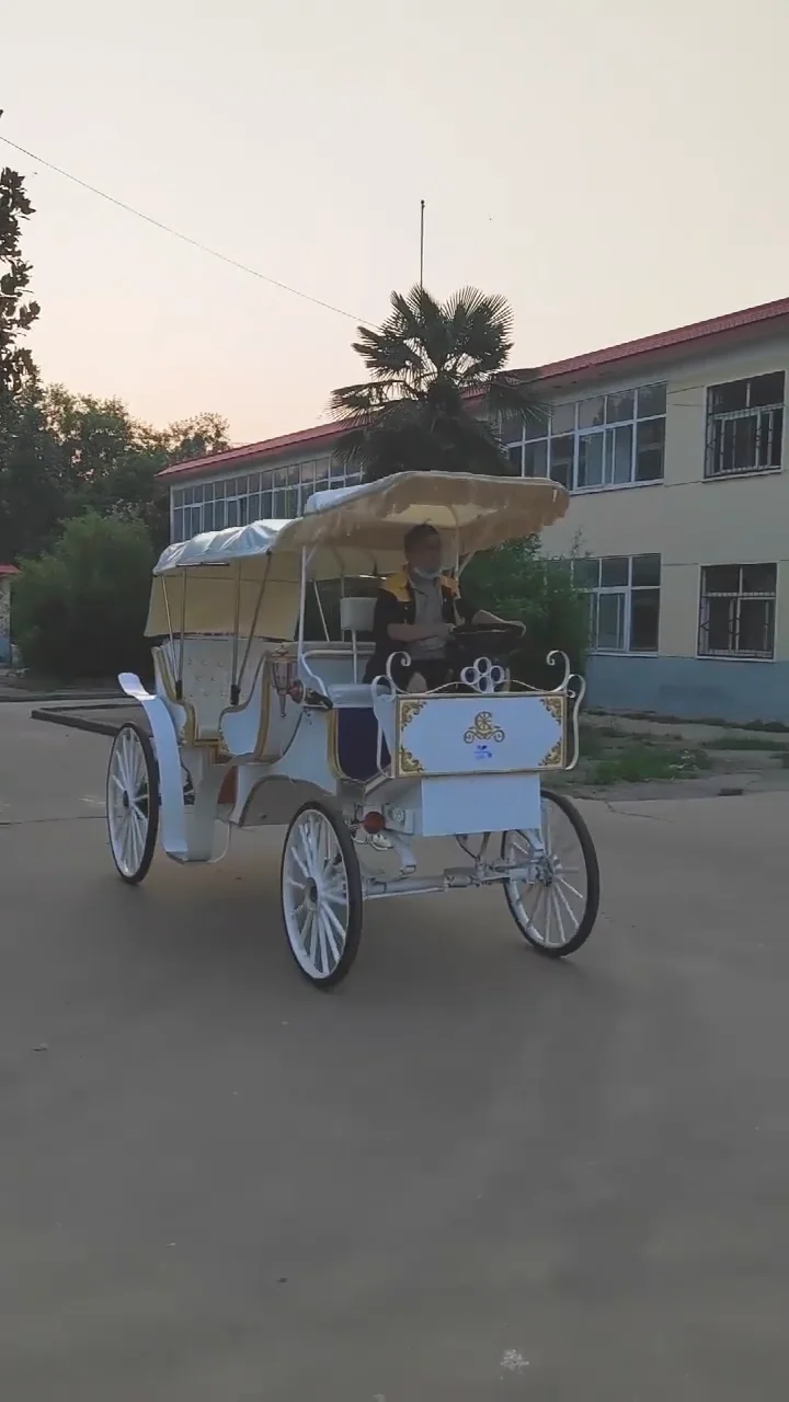 Factory Price Cinderella Horse Wagon / Elegant Victoria Horse Cart ...