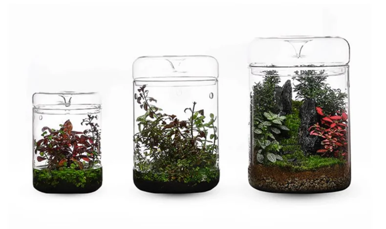 Creative Glass Terrarium - Modern Luxury Decorative Vase