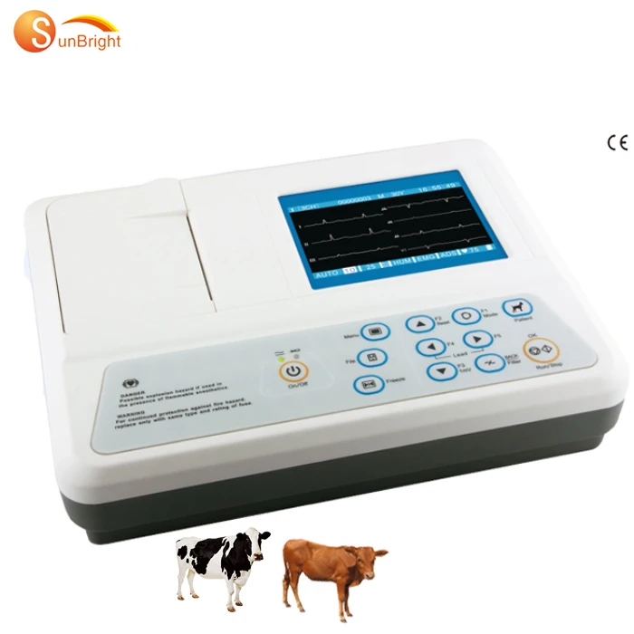 12 Lead Medical EKG Machine - Reliable Diagnosis & Injection
