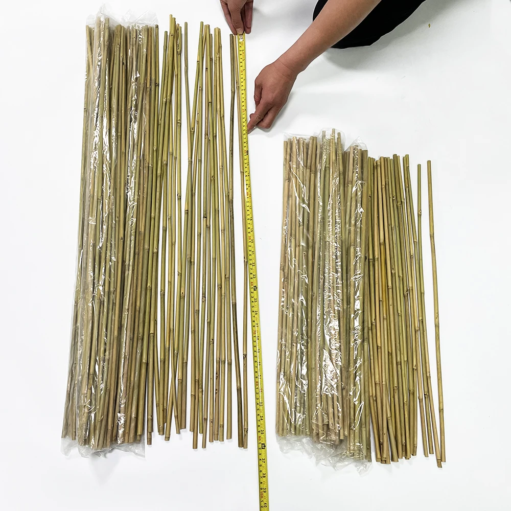 3m And 4m Or Custom Size Bamboo Canes Sticks For Sale - Buy 3m Bamboo ...