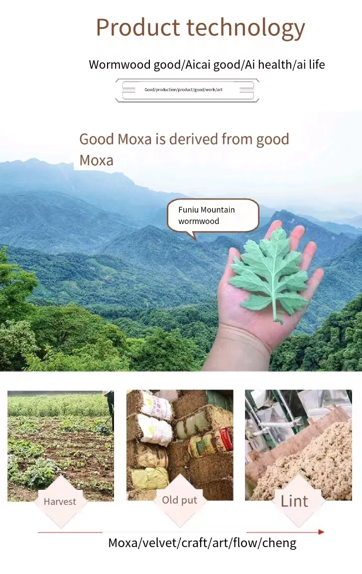 Most Popular In 2024 Chinese Traditional Moxibustion Huatuo Moxa Stick ...