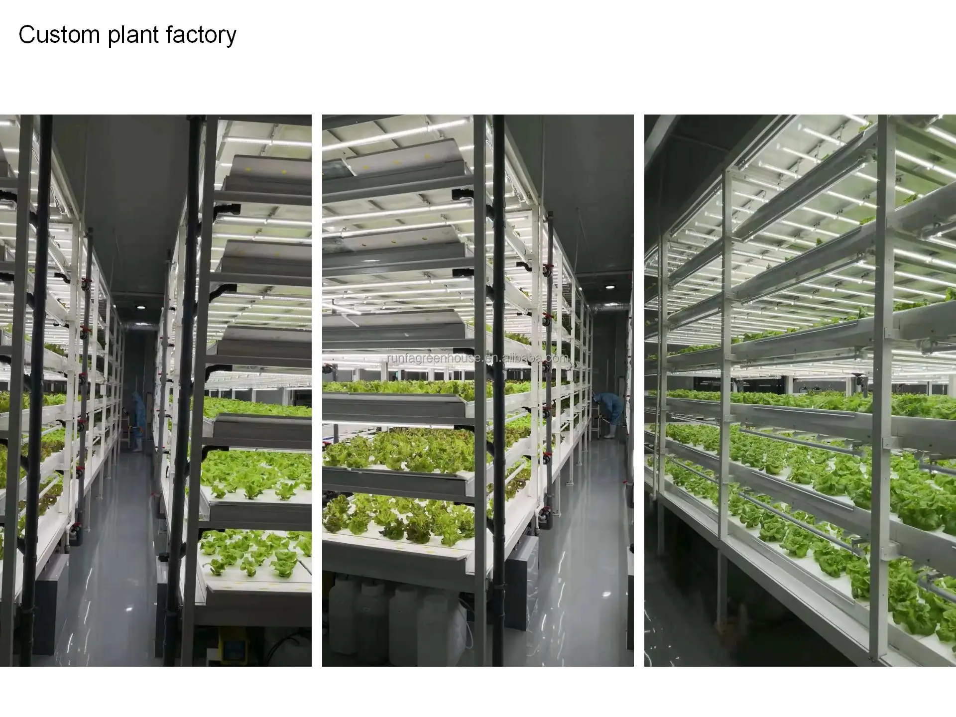 Vertical Farming Custom Plant Factory Greenhouse Increase Yield Shorten ...