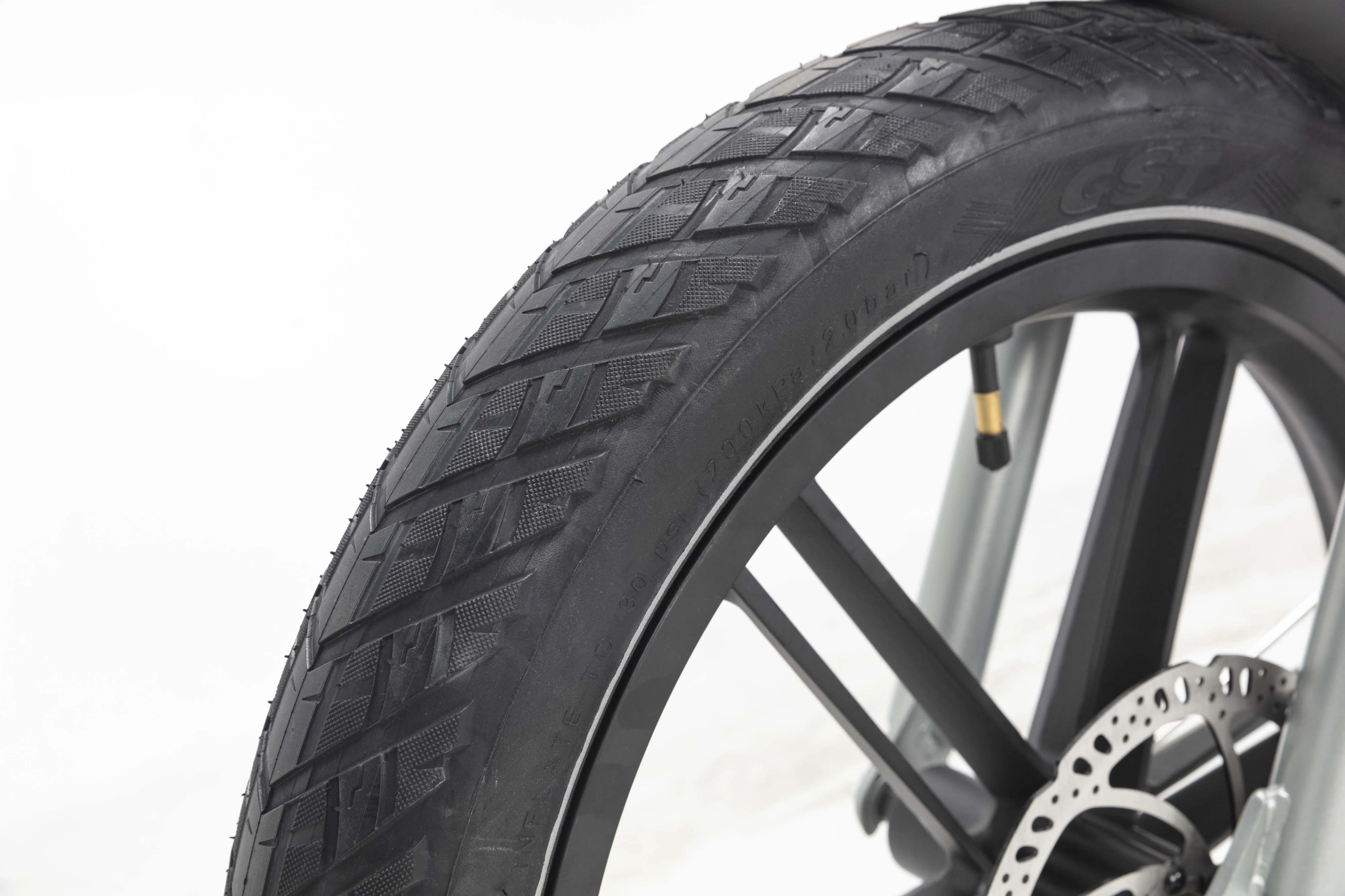 Fat Tire Long Tail 500w Motor E Bike 15ah Dual Battery Electric Cargo ...