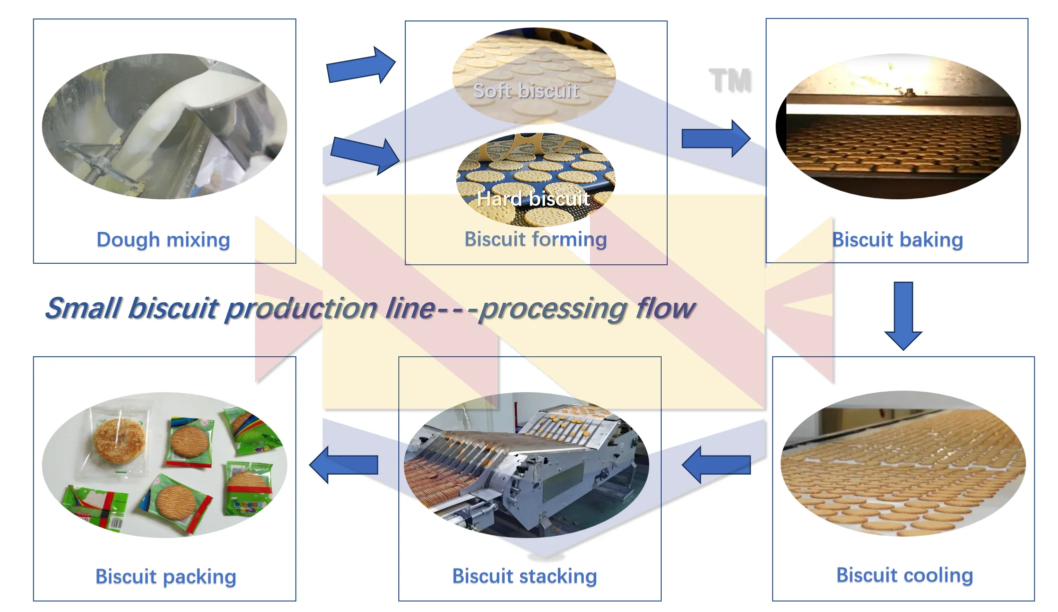 Fully Automatic Crisp Marie Biscuit Production Line