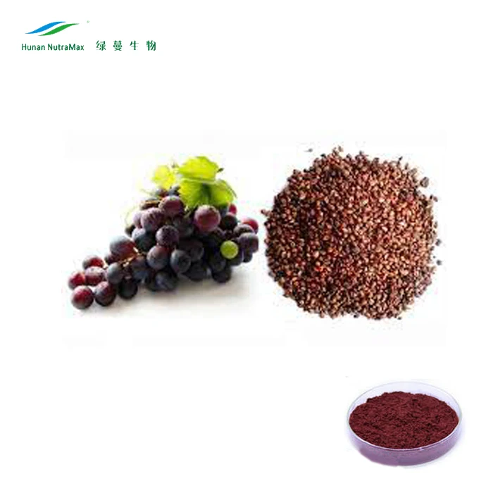 Bulk Raw Ingredient Antioxidant Supplement 95% OPC Proanthocyanidins ...