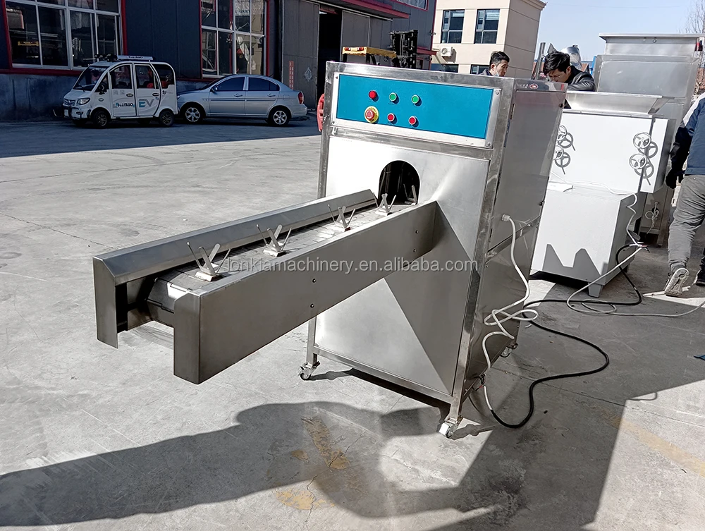 Professional Onion Processing Big Small Onion Head and Tail Root ...