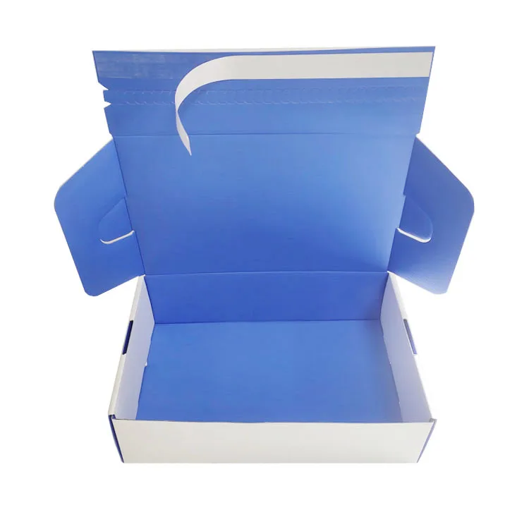Customized Logo Corrugated Self Seal Postal Blue Mailing Carton for ...