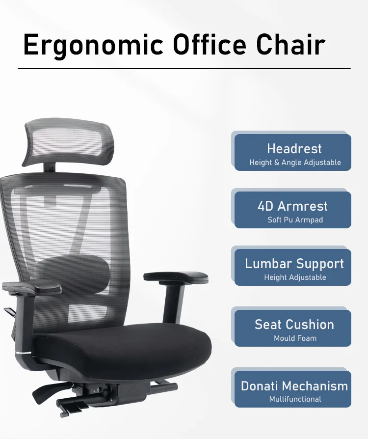 Ergonomic Office Chairs - Enhance Comfort and Productivity
