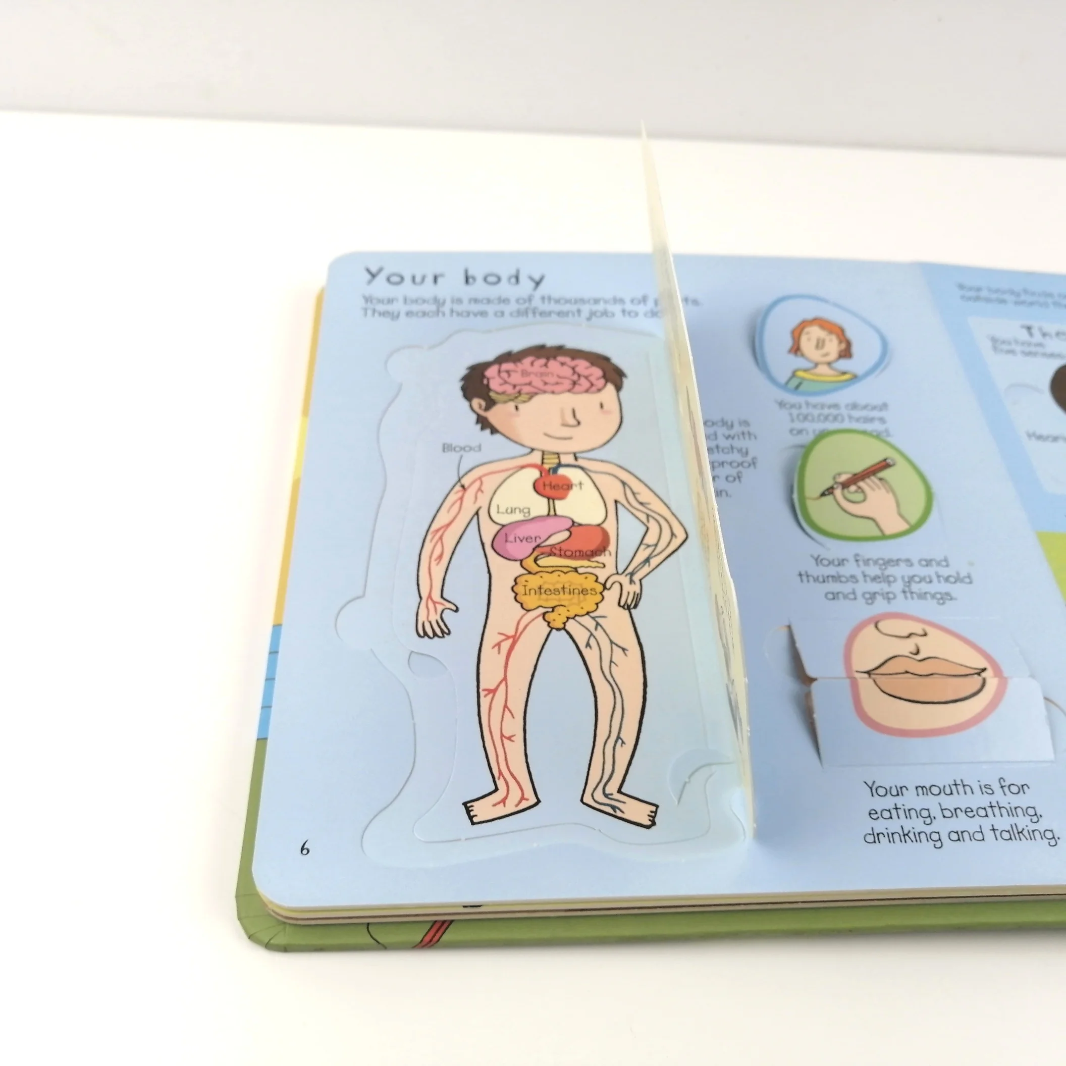 Interesting Children Educational Cardboard Paper Learning Book Activity ...