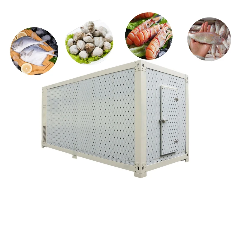 Cold room /Industrial Logistics Fish Freezer Construction for Frozen ...