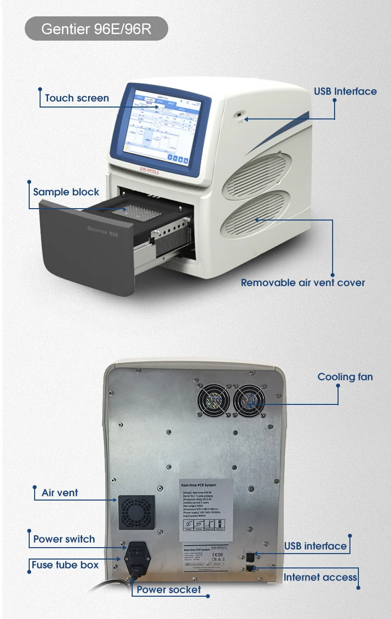 Dyes FAM SYBR Green VIC JOE HEX TET Cy5 LIZ ROX for 6 Channels Real ...