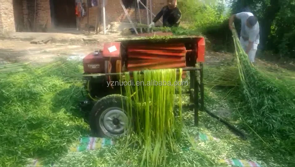 Philippines Abaca Fiber Decorticator - Efficient & Durable