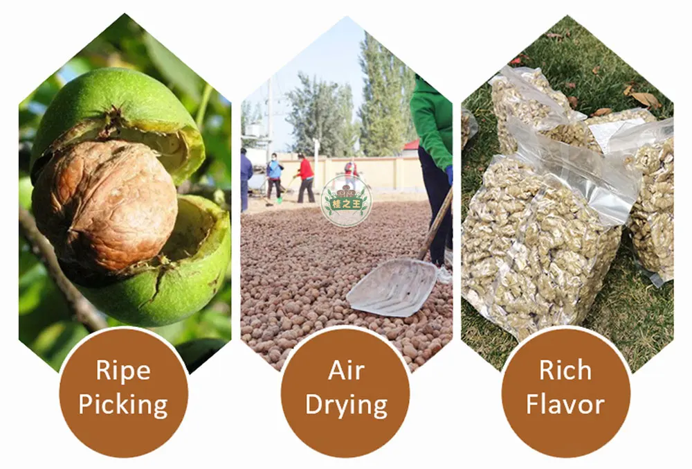 185 Walnut In Shell Chinese Xinjiang Walnut In Shell