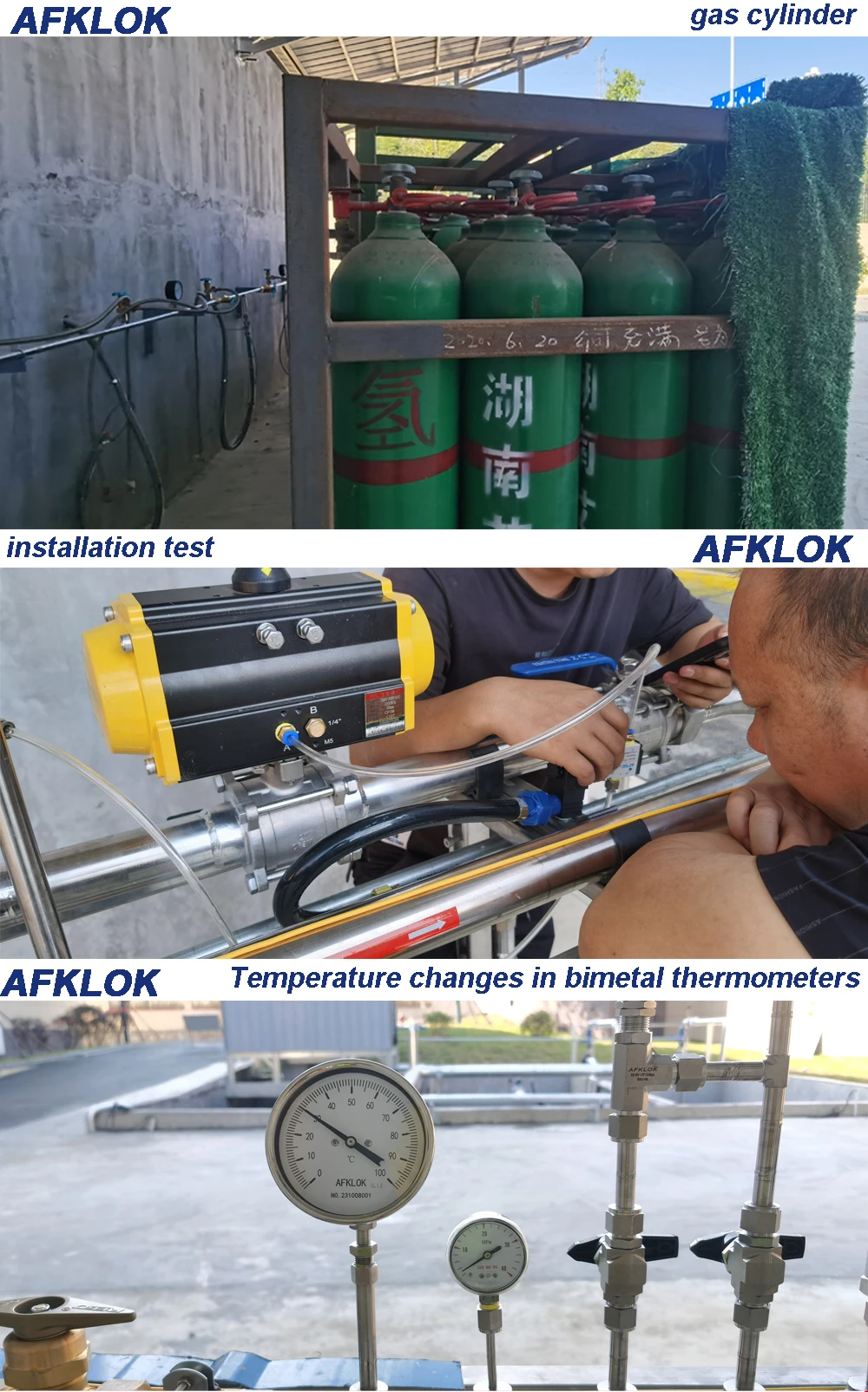 0-60psi Diaphragm Pressure Gauge Oil-filling Ss304 Dial 63mm Bottom ...