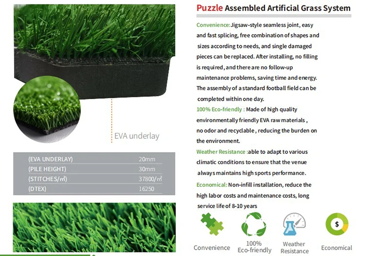 Athletic Facilities Indoor Soccer Fields Gym Seamless Professional ...