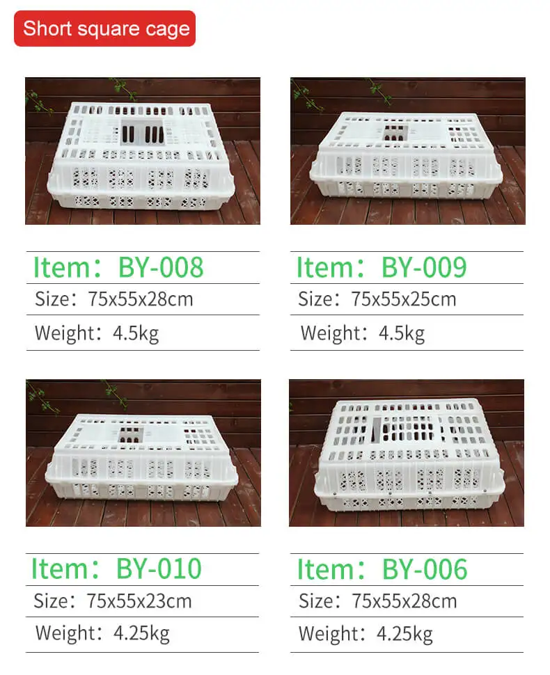 755*555*250mm Cheap Live Chicken Cage Cages Plastic Hens Crates for ...
