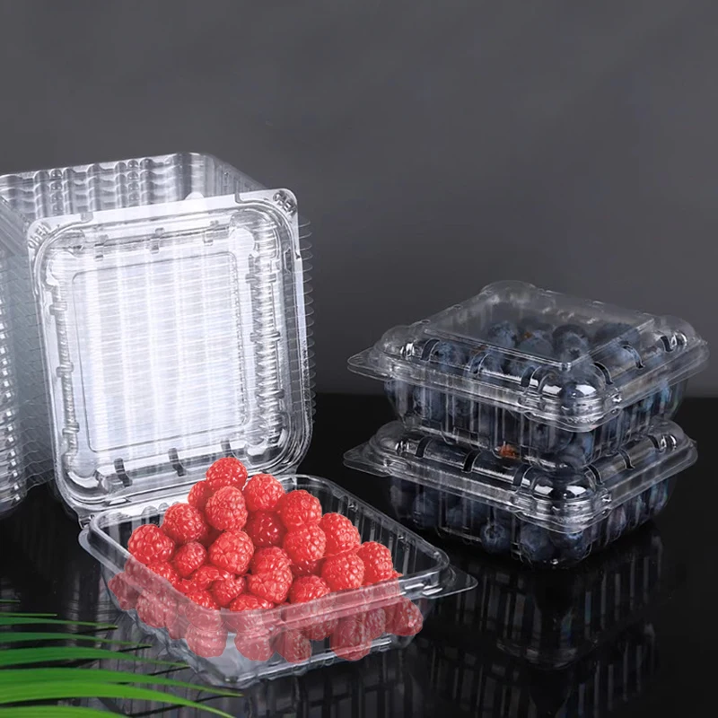 CHEAP Plastic Blueberry Container Disposable Clear 125g Fruit Packaging ...