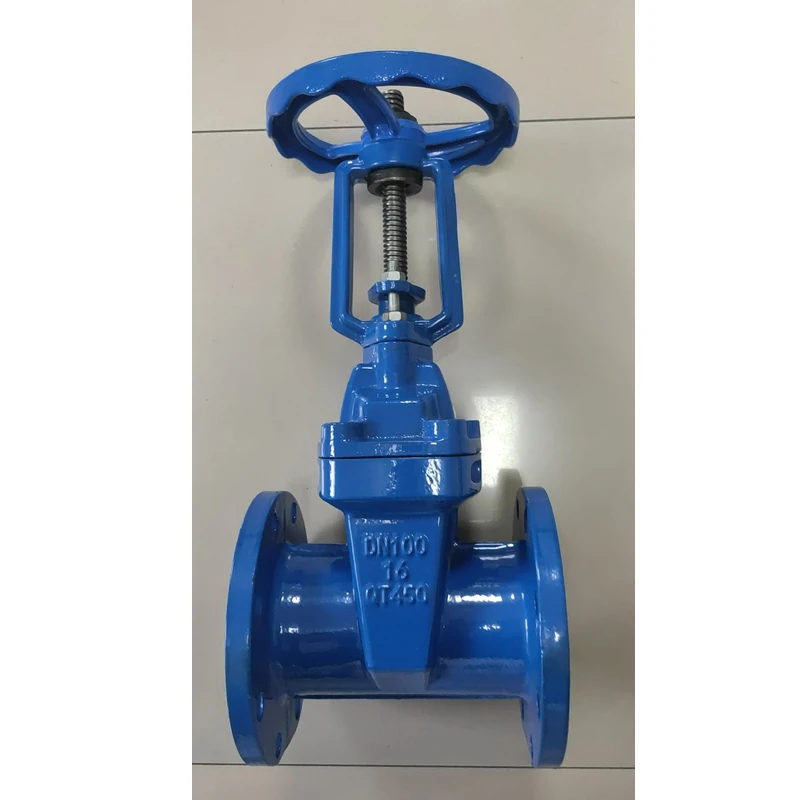 Manufacturers Ductile Iron/Cast Iron Rising Stem Resilient Seated ...