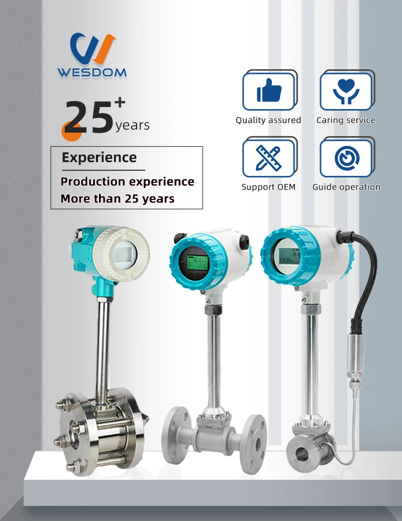 2025 DN150 PN16 Oxygen Flowmeter vortex Flow Meter Flowmeter for ...