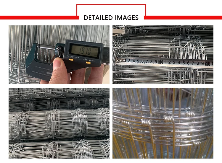 3ft 4ft 5ft 6ft 7ft 8ft Galvanized Livestock Fixed Knot Hot Dip ...