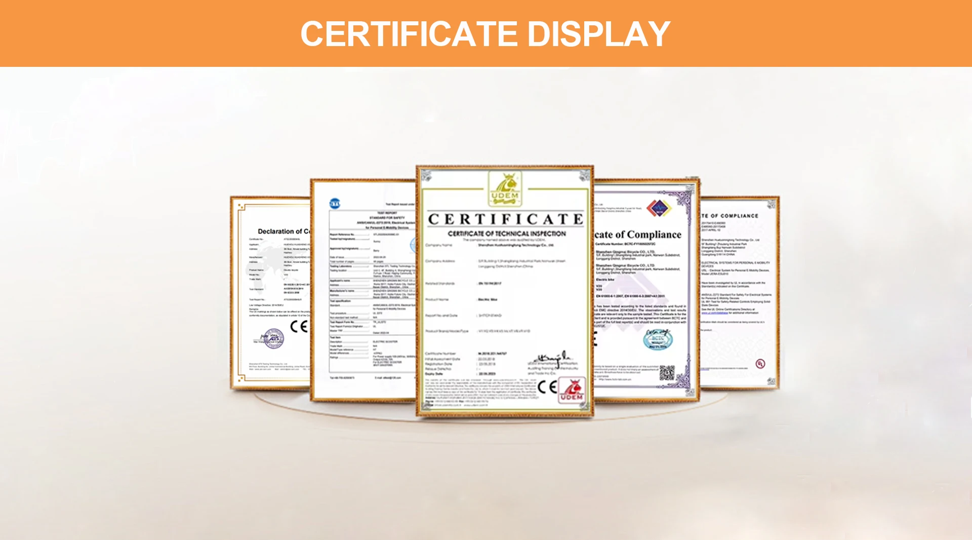 Company Overview - SMART RIDE TECHNOLOGY LIMITED