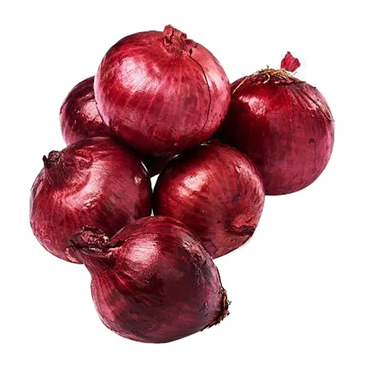Fresh Red Onion Importers Fresh Vegetables Onion Wholesale Red Onion ...