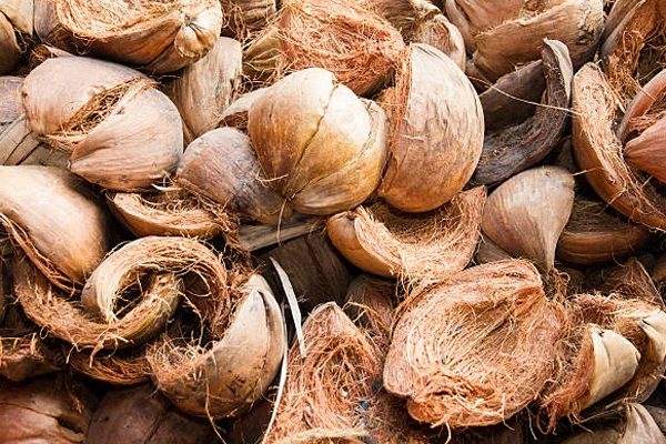 Beston Group 1t/h Continuous Coconut Shell Carbonization Furnace ...