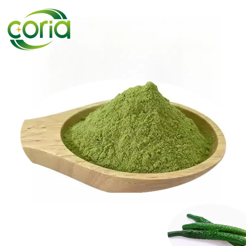 Wholesale Cucumber Powder 100% Pure Cucumber Extract Cucumber Juice ...
