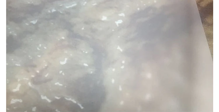 30m 110*0.5mm Bending Machine Traceless Film - White Rubber