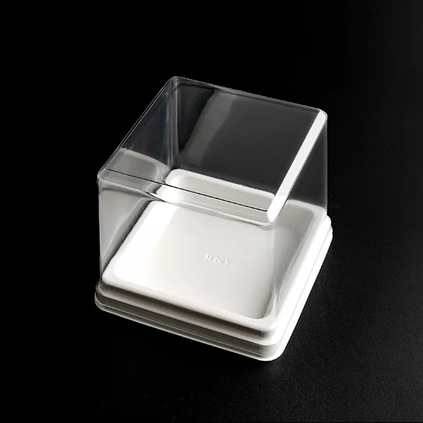 Transparent Small Square Cake Boxes - Plastic Dessert Containers for ...